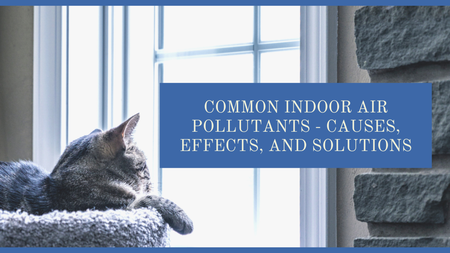 Common Indoor Air Pollutants - Causes, Effects, & Solutions